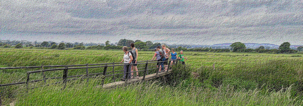 Links [www.wwink.info]